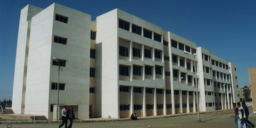 Fayoum University – CEGMAN